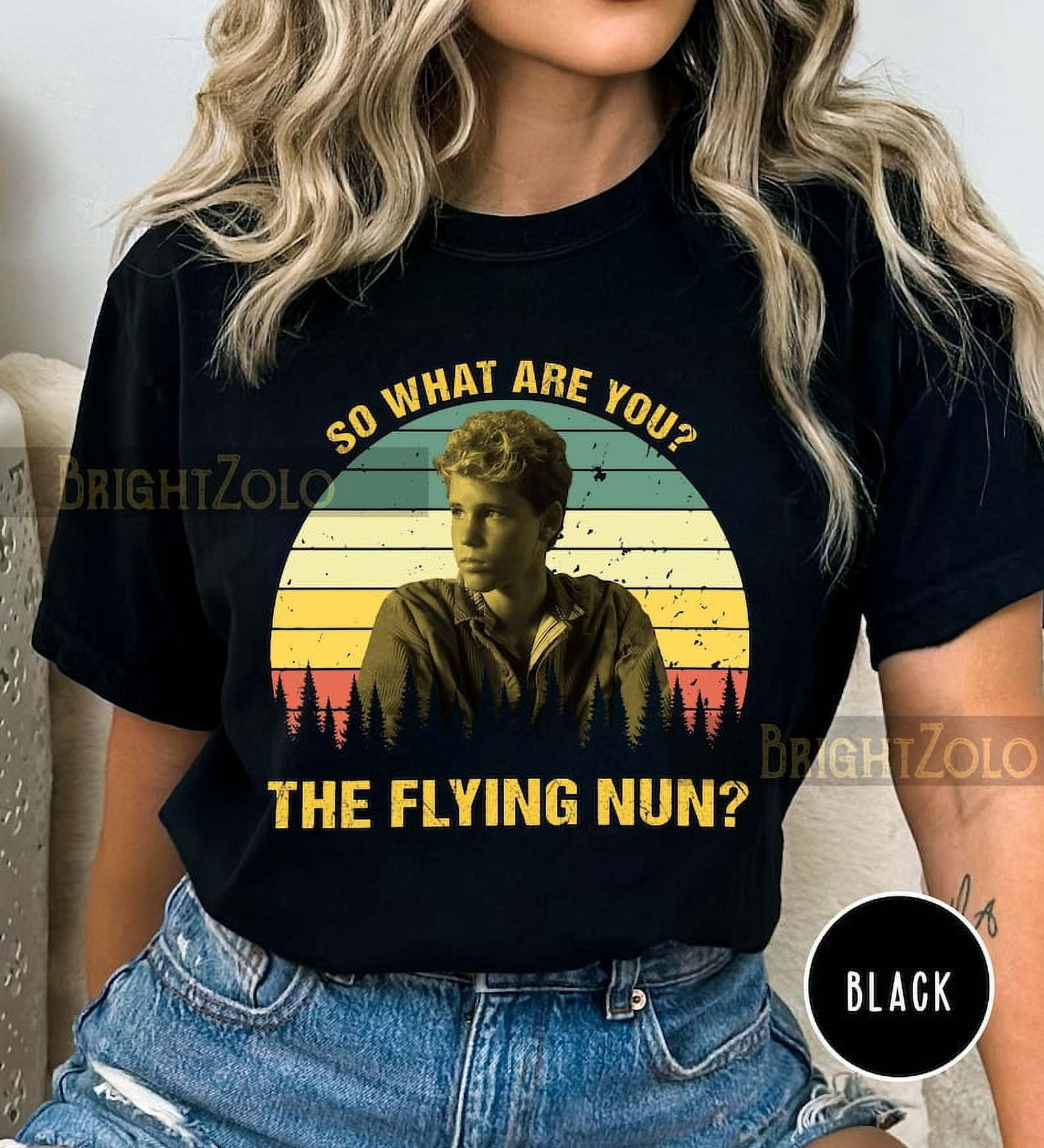 Sam Emerson - So What Are You The Flying Nun Sunset Vintage Retro ...