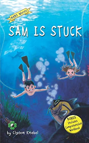 Pre-Owned Sam Is Stuck: Decodable Chapter Book (Paperback) 0998454303 ...