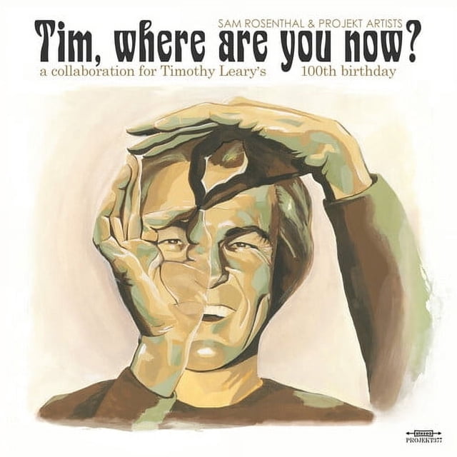 Sam Rosenthal - Tim, Where Are You Now? - Electronica - CD - Walmart ...