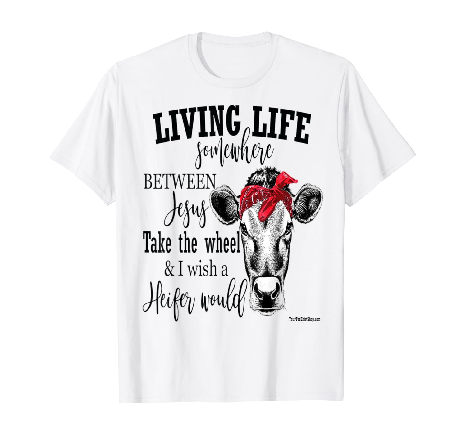 Sam Soft Living Life Between Christ Take The Wheel and I Wish A Heifer ...