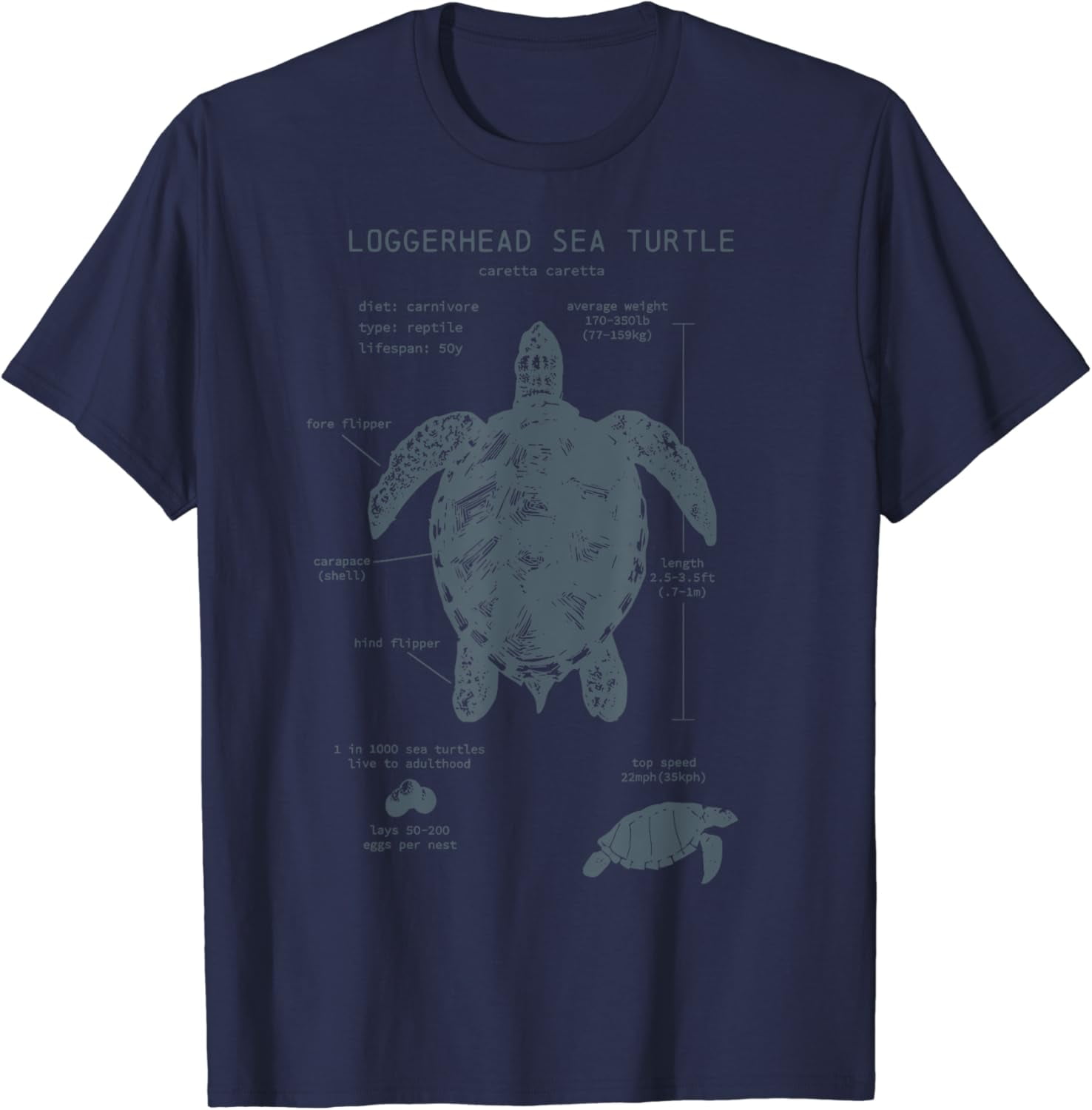 Sam Soft Loggerhead Sea Turtle Anatomy Biologist Vintage T-Shirt ...