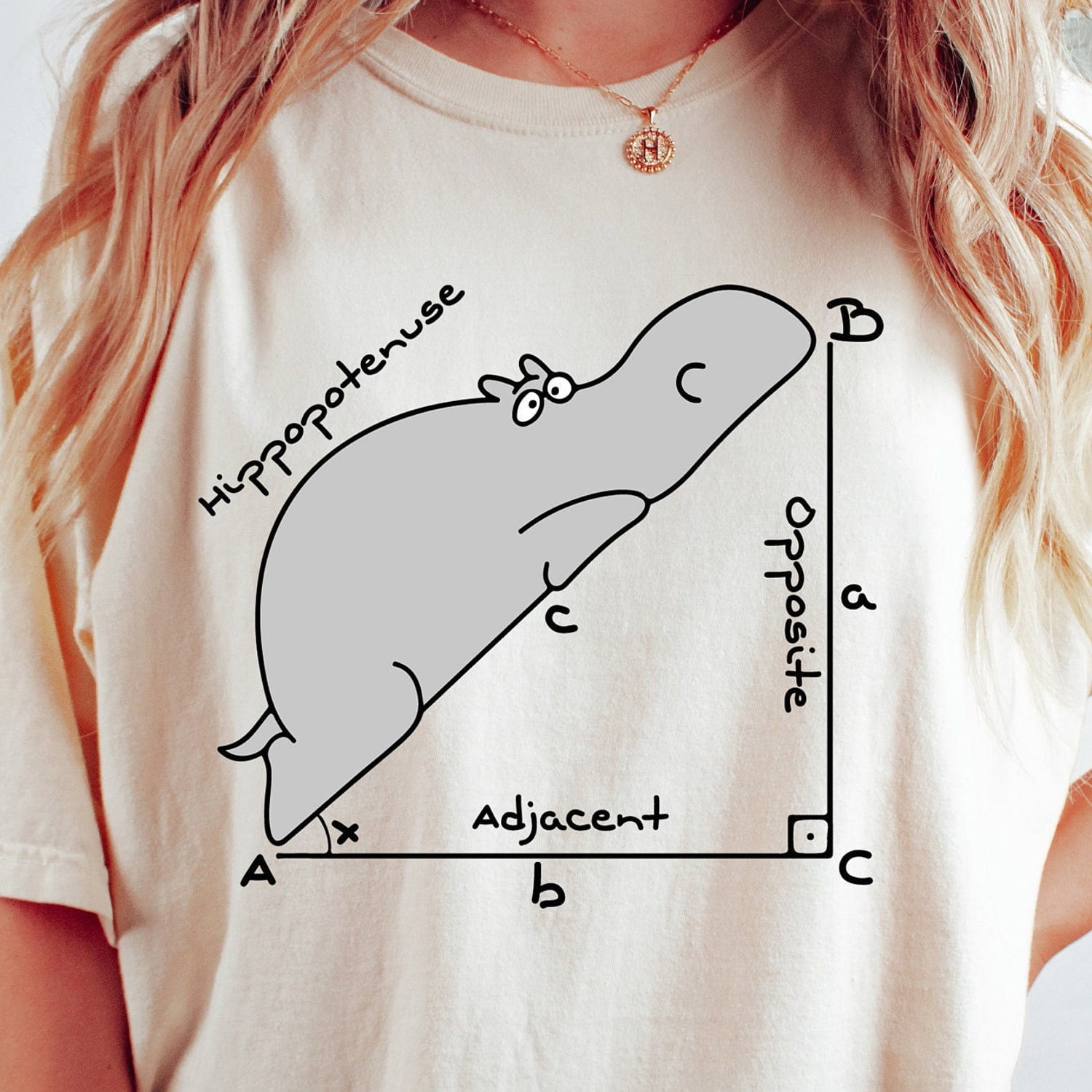 Sam Soft Math Shirt, Back To School Tee, Hippopotenuse Shirt, Math Teachers Shirt, Teacher Shirt ...