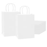 Sam Wrap Plain Kraft Paper Bags White Craft Bags with Handles, 100-Pack ...