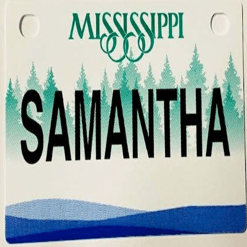 Samantha Mini Bike Plate Add On Accessory - Walmart.com