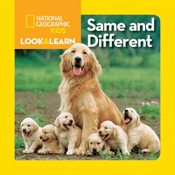 Same and Different (Board Book) - Walmart.com