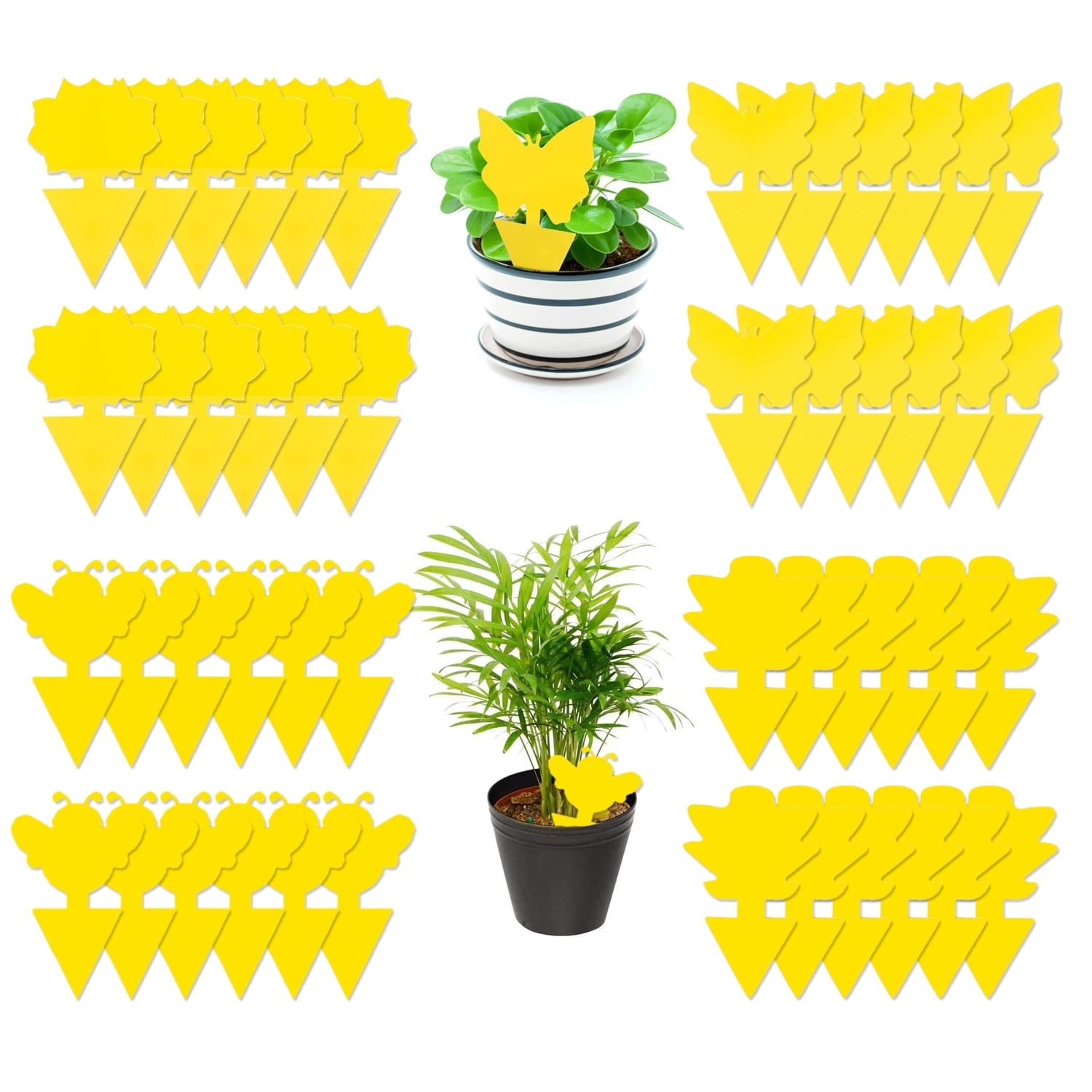 Samerd 48 PCS Sticky Fruit Fly Indoor Gnat Bait, Fungus Sticky Yellow ...