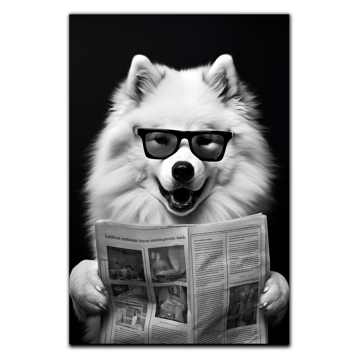 Samoyed Dog Reading Newspaper Wall Art Bathroom Decor Picture Canvas ...