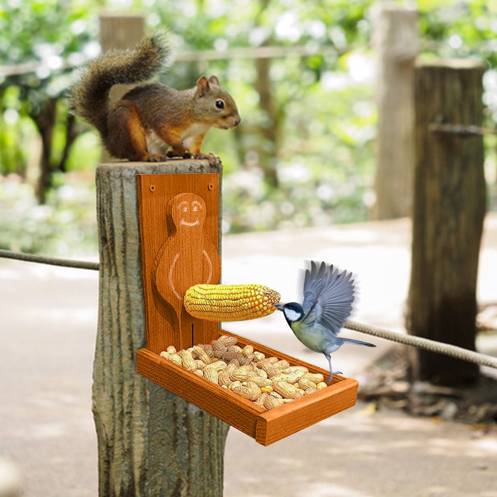 Samoyeec Prouds Man Squirrels Feeder, Wooden Squirrels Picnic, Table ...