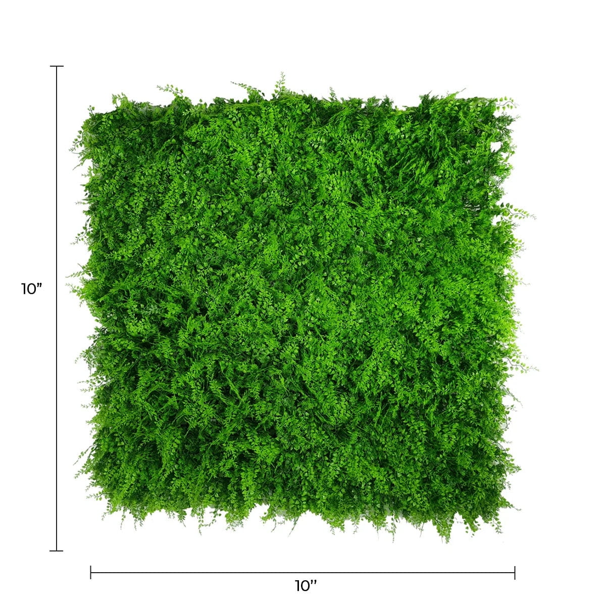 Sample Panel of Lush Fern Artificial Green Wall (Small Sample ...