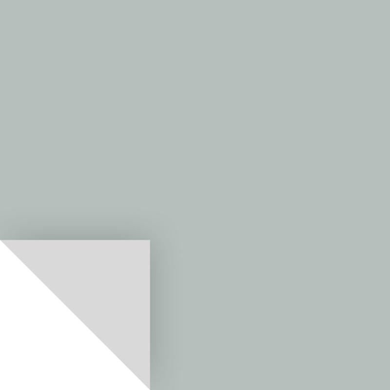 Samplize Benjamin Moore Beach Glass Peel & Stick Color Sample 1564 ...
