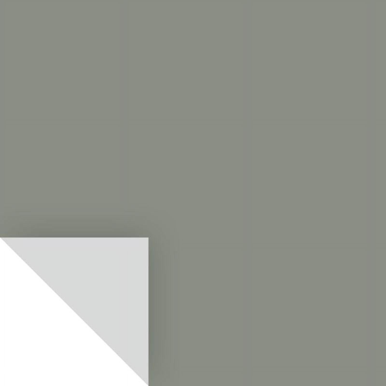 Samplize 1028447 Peel & Stick Wallpaper, Carolina Gull - Walmart.com