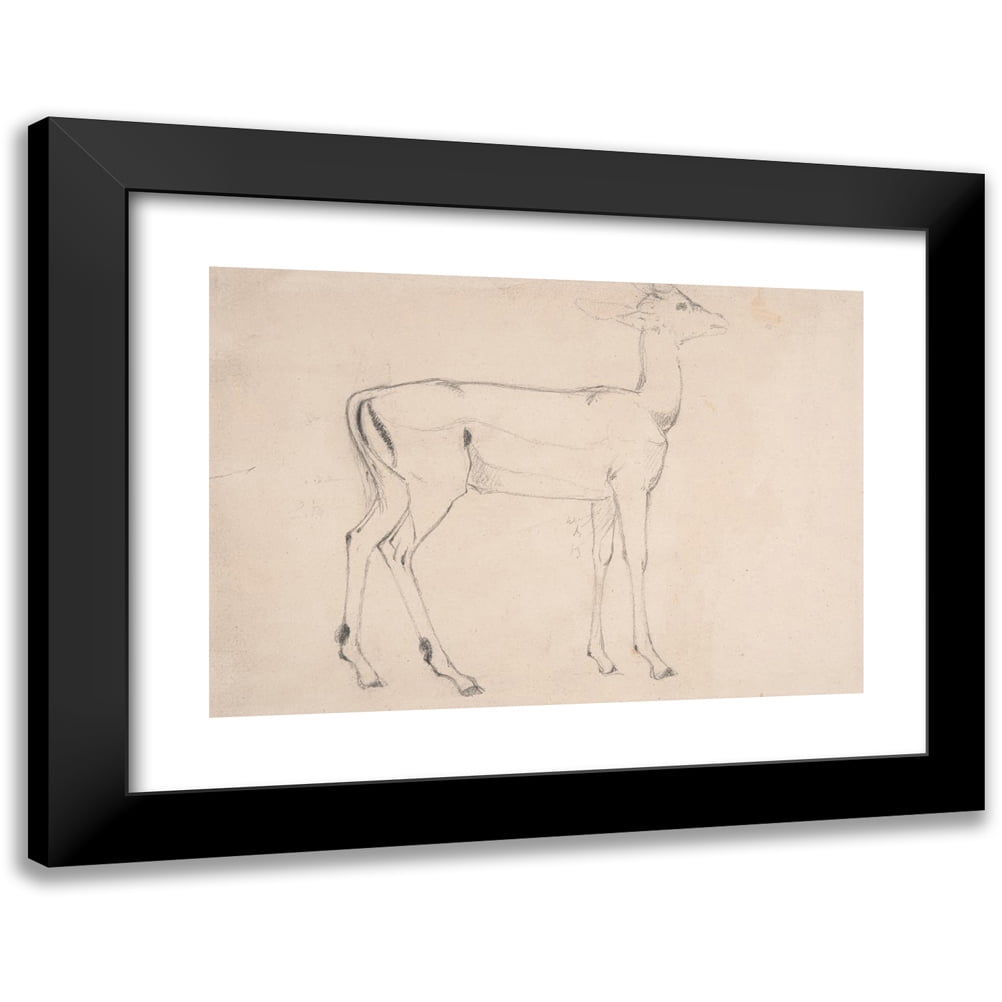 Samuel Daniell 14x11 Black Modern Framed Museum Art Print Titled ...