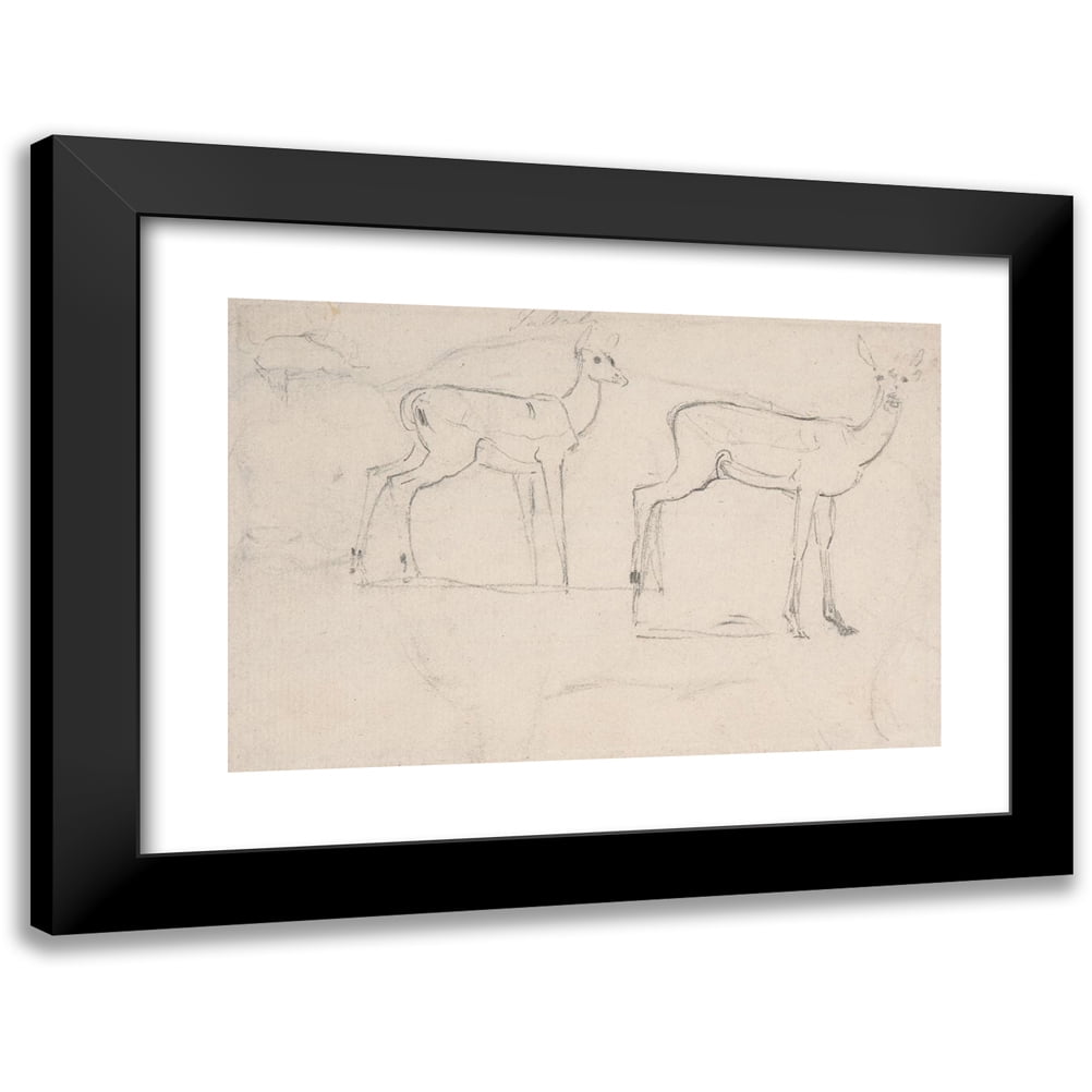 Samuel Daniell 24x17 Black Modern Framed Museum Art Print Titled ...