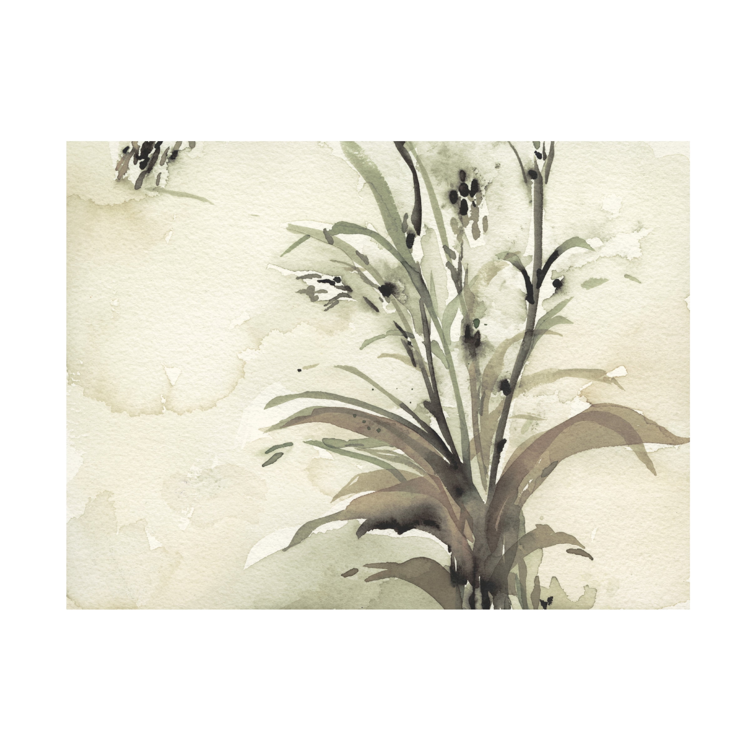 Samuel Dixon Plant Canvas Art - Modern Floral Print - Walmart.com