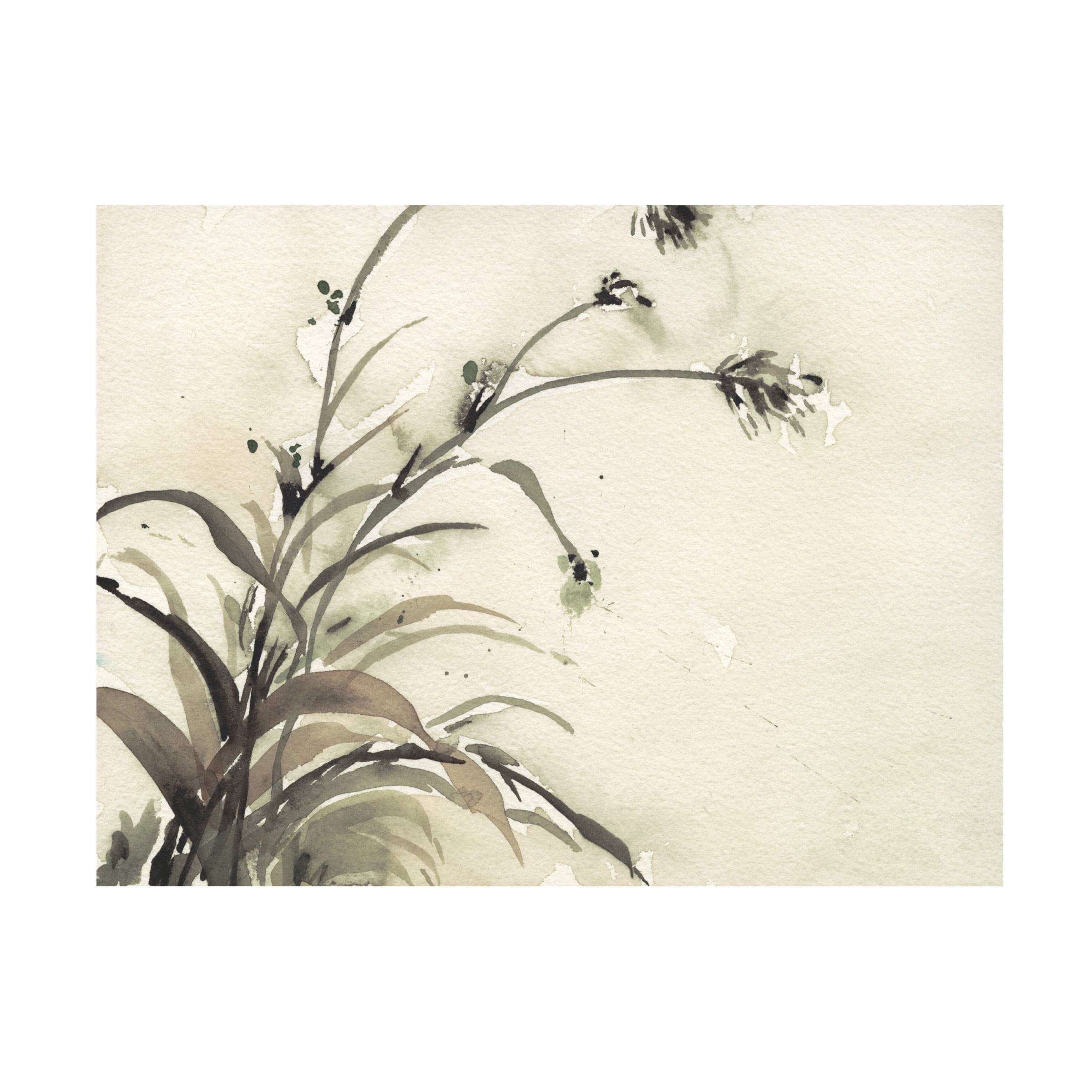 Samuel Dixon 'Plant of the Age II' Canvas Art - Walmart.com