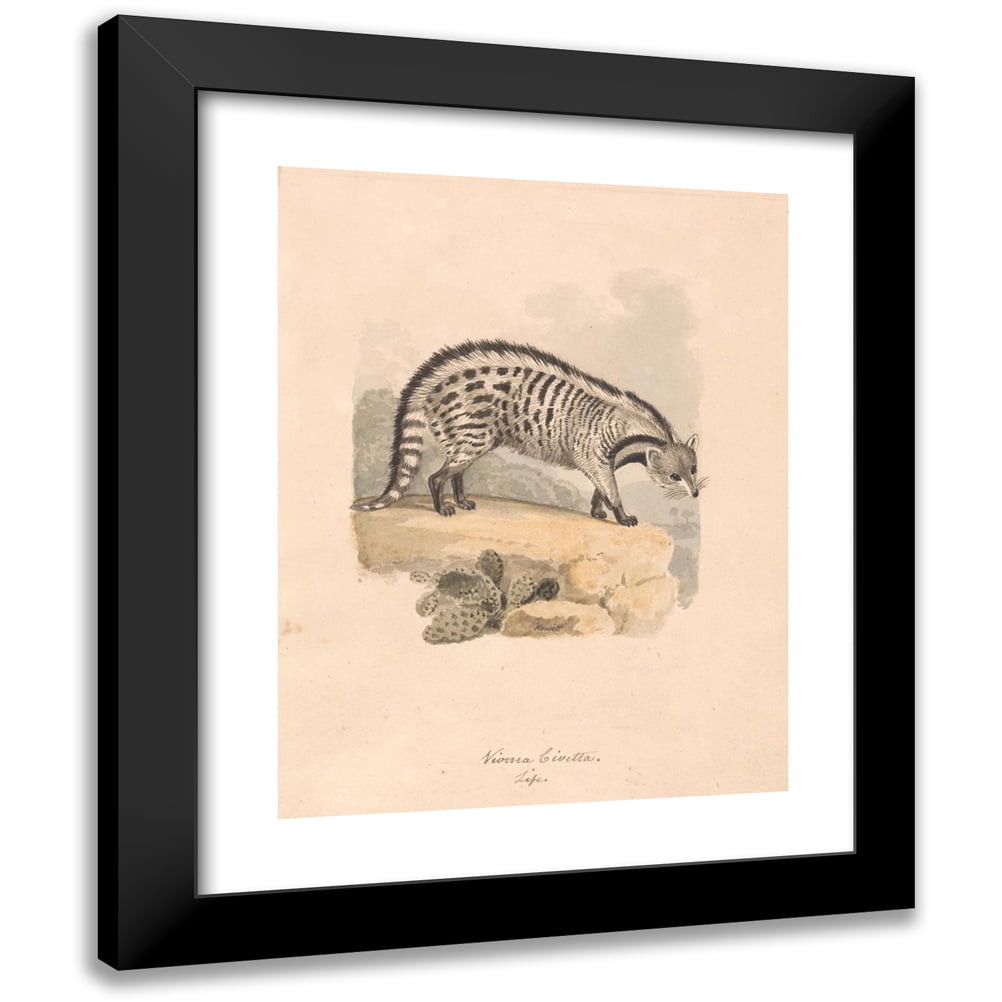 Samuel Howitt 12x14 Black Modern Framed Museum Art Print Titled ...