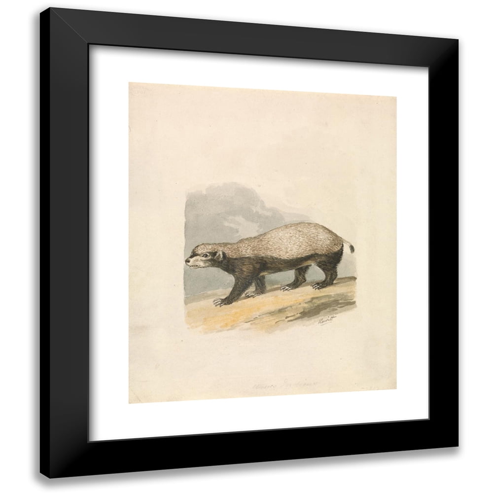 Samuel Howitt 12x14 Black Modern Framed Museum Art Print Titled - Honey ...