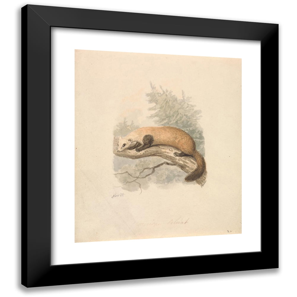 Samuel Howitt 12x14 Black Modern Framed Museum Art Print Titled ...