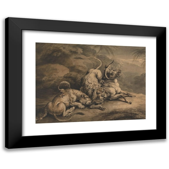 Samuel Howitt 14x11 Black Modern Framed Museum Art Print Titled - Lion ...