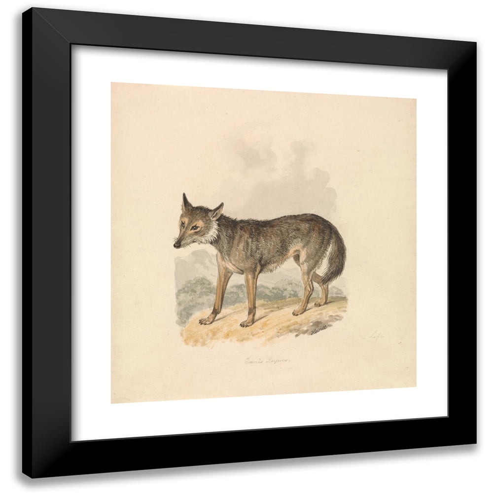 Samuel Howitt 15x16 Black Modern Framed Museum Art Print Titled - Canis ...