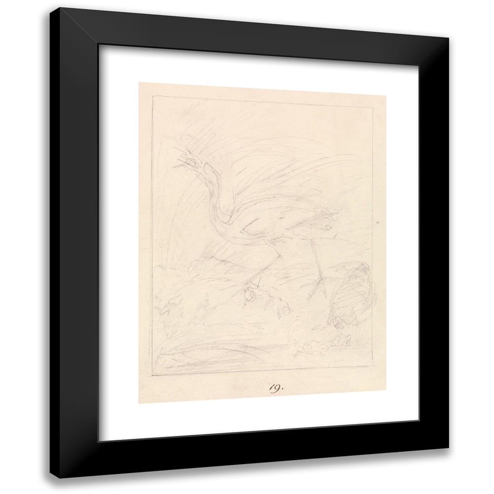 Samuel Howitt 15x18 Black Modern Framed Museum Art Print Titled - Crane ...