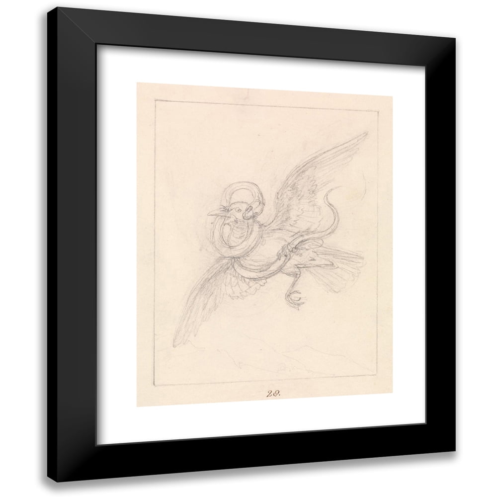 Samuel Howitt 15x18 Black Modern Framed Museum Art Print Titled - Raven ...