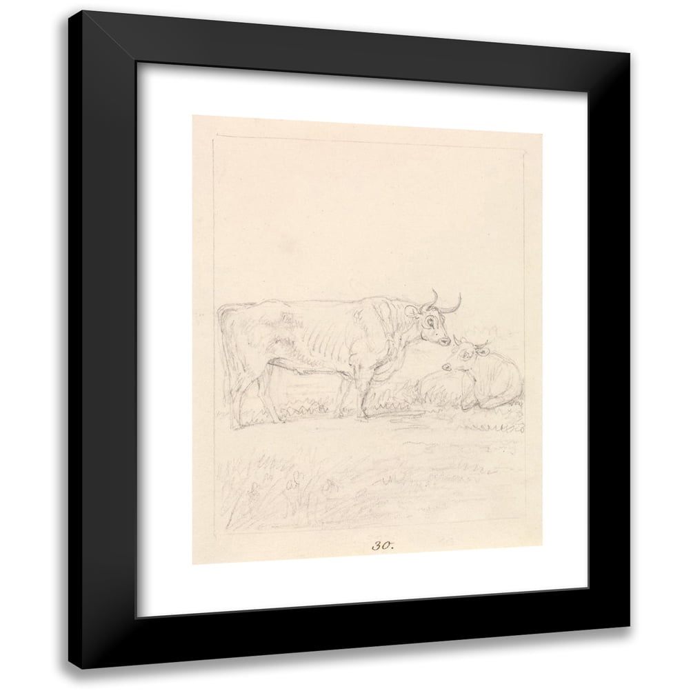 Samuel Howitt 19x24 Black Modern Framed Museum Art Print Titled - Bull ...