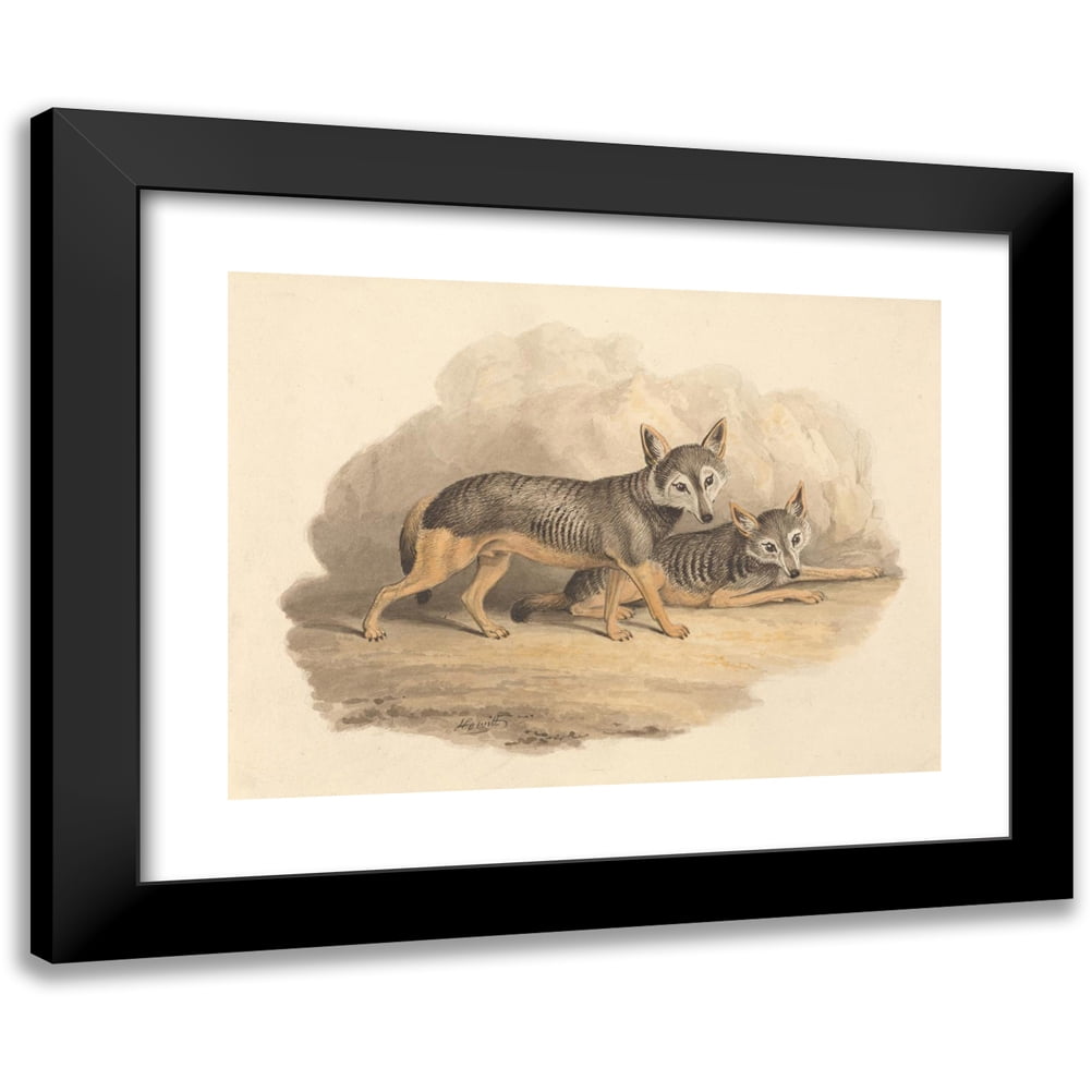 Samuel Howitt 24x19 Black Modern Framed Museum Art Print Titled - Two ...
