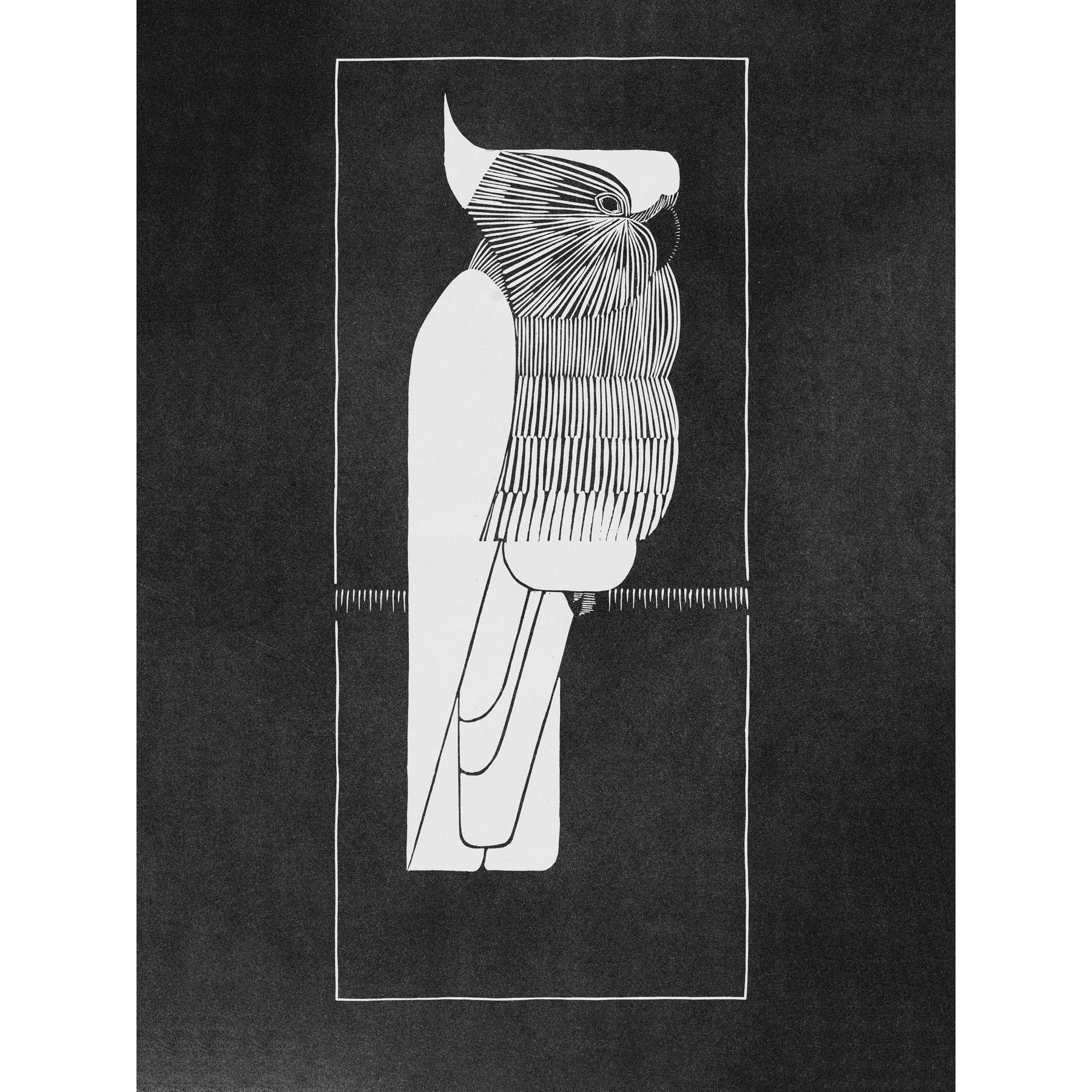 Samuel Jessurun De Mesquita Picture Crown Cockatoo Extra Large XL Wall ...