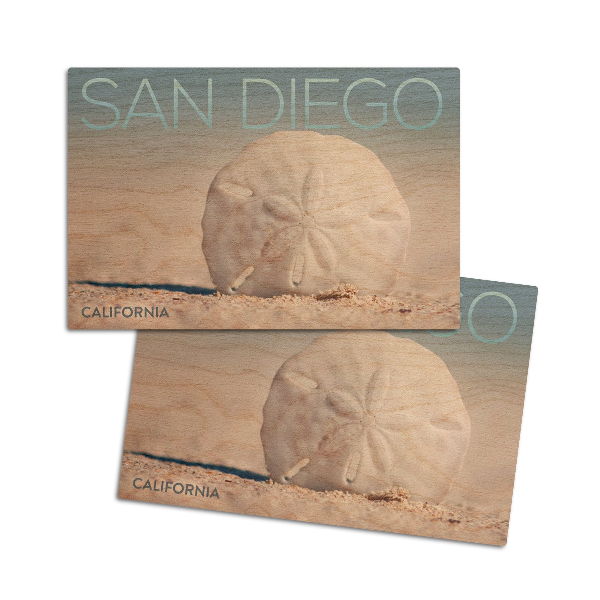 San Diego, California, Sand Dollar on Beach (4x6 Birch Wood Postcards ...