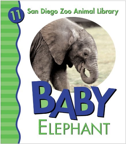 Pre-Owned Baby Elephant (Board book) 0824965779 9780824965778 - Walmart.com