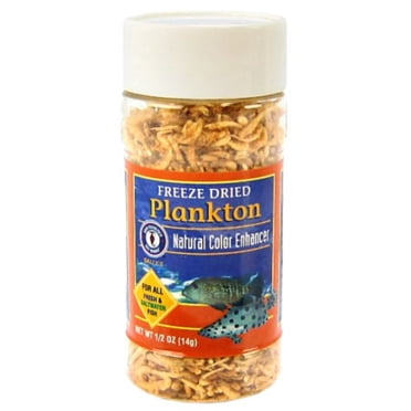 San Francisco Bay Brand® Freeze Dried Bloodworms Freshwater Fish Food 1 ...
