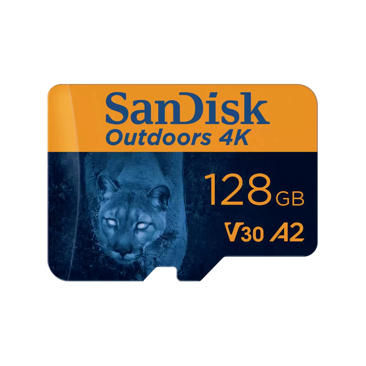 SanDisk 128GB Outdoors 4K microSDXC UHS-I Memory Card for Mobile Gaming ...