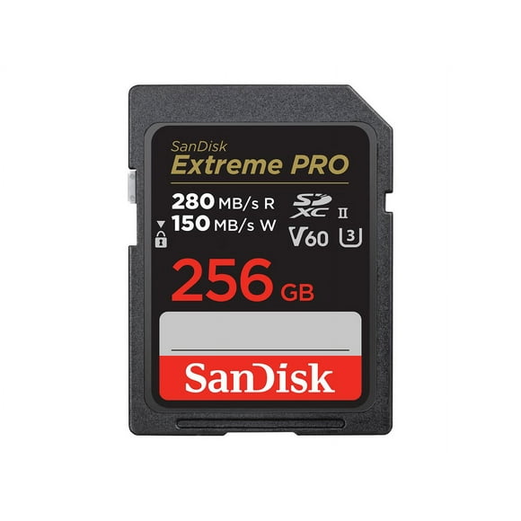 256 GB Memory Cards