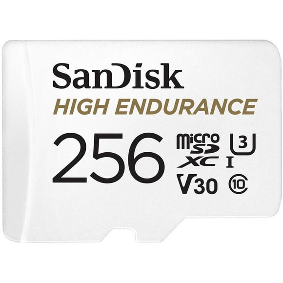 256 GB Memory Cards
