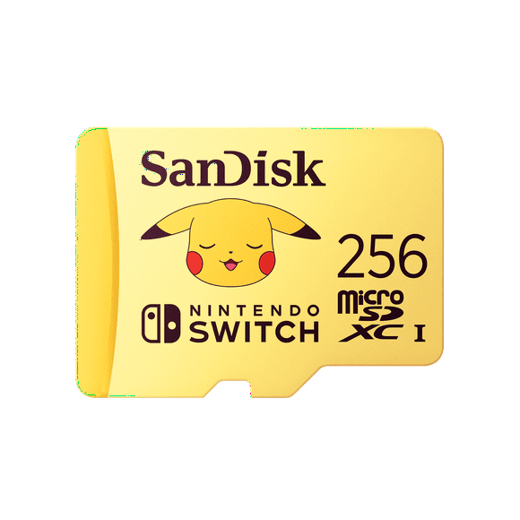 256 GB Memory Cards