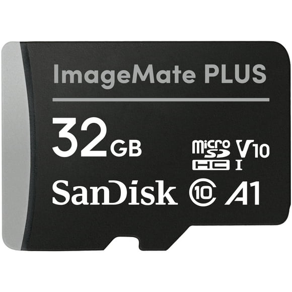 32 GB Micro SD Cards