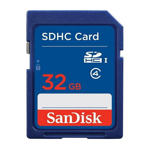 32GB SD Cards