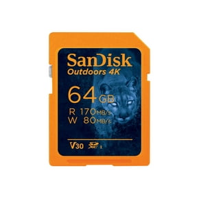 SanDisk SD Cards in Memory Cards - Walmart.com