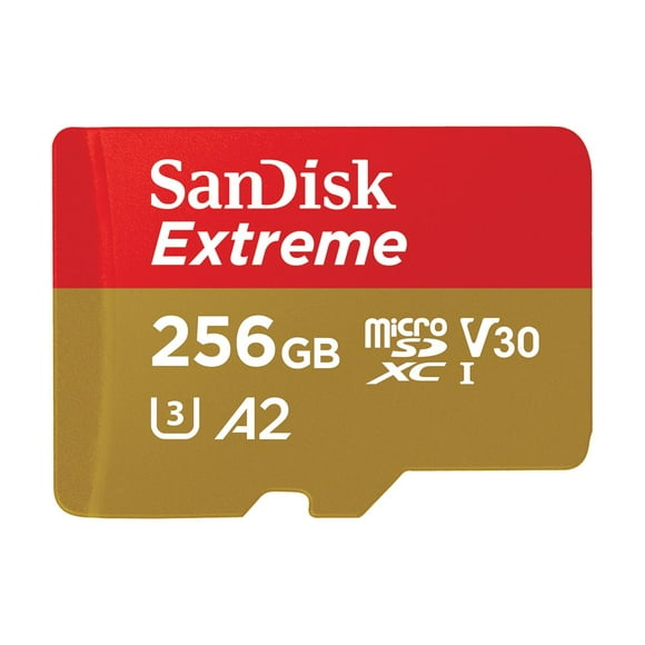 256 GB Memory Cards