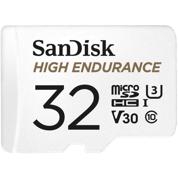 32GB Micro Class 10 SD Cards