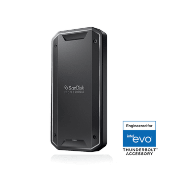 SanDisk Professional 12TB G-RAID Mirror 2-Bay RAID Array (2 x 6TB ...