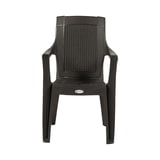 Sanchia Eterna Rattan Resin Chair Color Beige for Adults - Walmart.com
