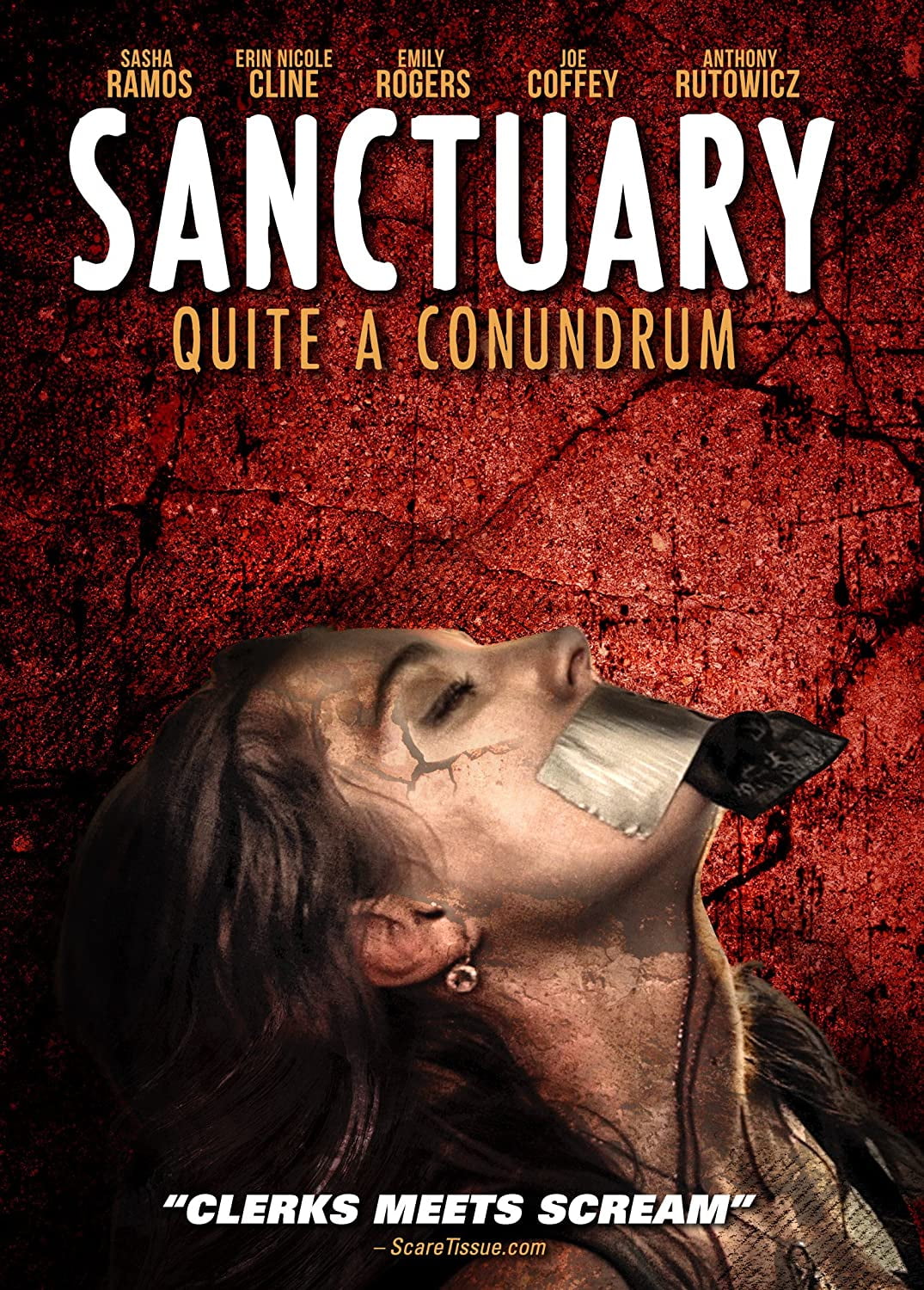 Sanctuary: Quite a Conundrum DVD - Walmart.com
