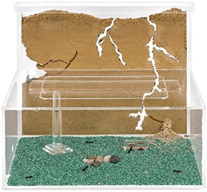 Sand Ant Farm L (Formicarium (Anthill, Formicarium, Educational, Ants ...