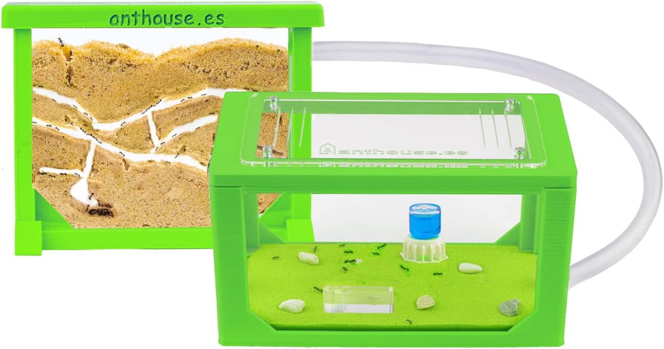 Sand Ant Hill 3D Mini Kit Sandwich + Forage Box Ant Farm - Walmart.com