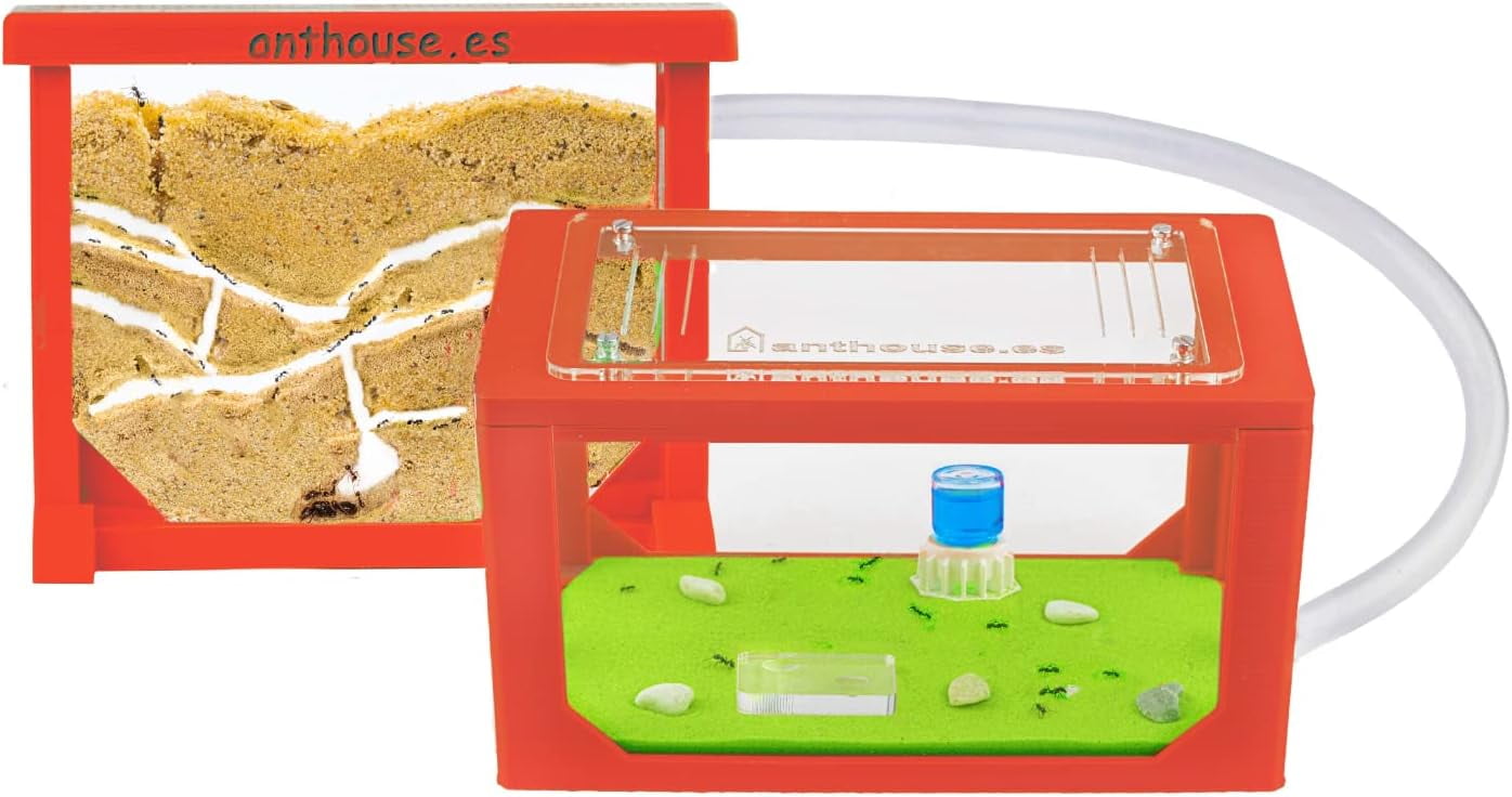 Sand Ant Hill 3D Mini Kit Sandwich + Forage Box Ant Farm - Walmart.com