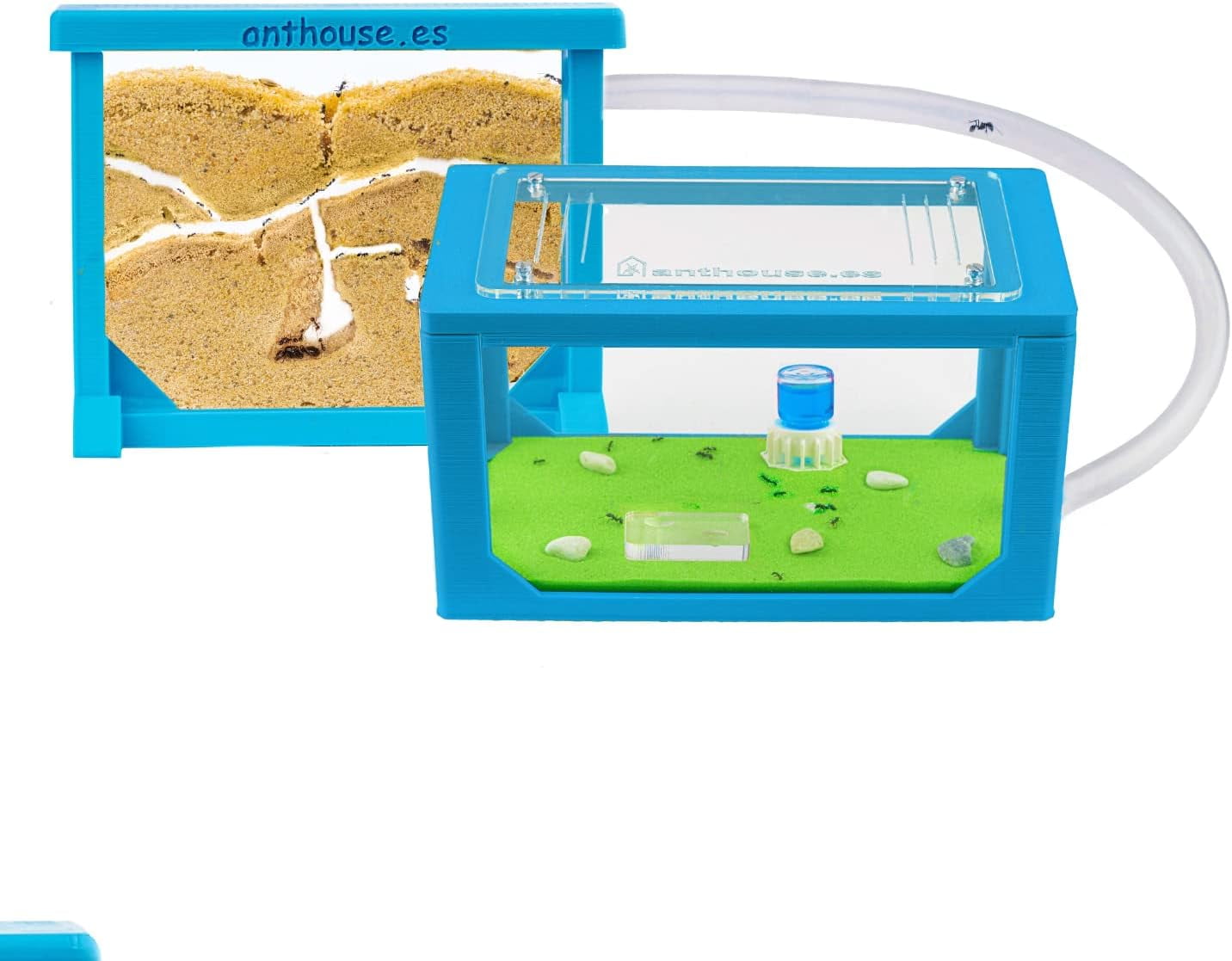 Sand Ant Hill 3D Mini Kit Sandwich + Forage Box Ant Farm - Walmart.com