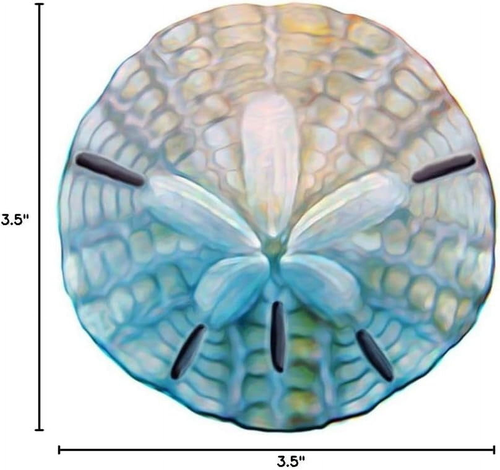 Sand Dollar Porcelain Swimming Pool Mosaic (3.5" x 3.5", White ...