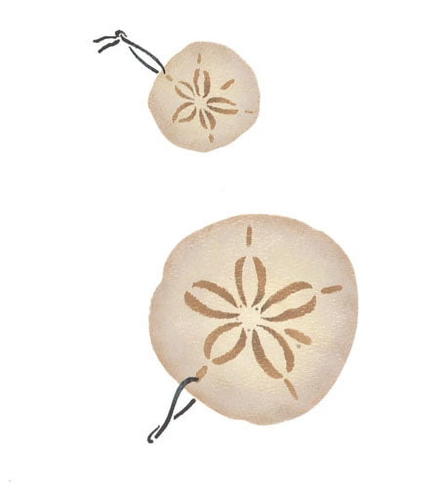 Sand Dollars Seashell Wall Stencil - DEE409 by DeeSigns - Walmart.com
